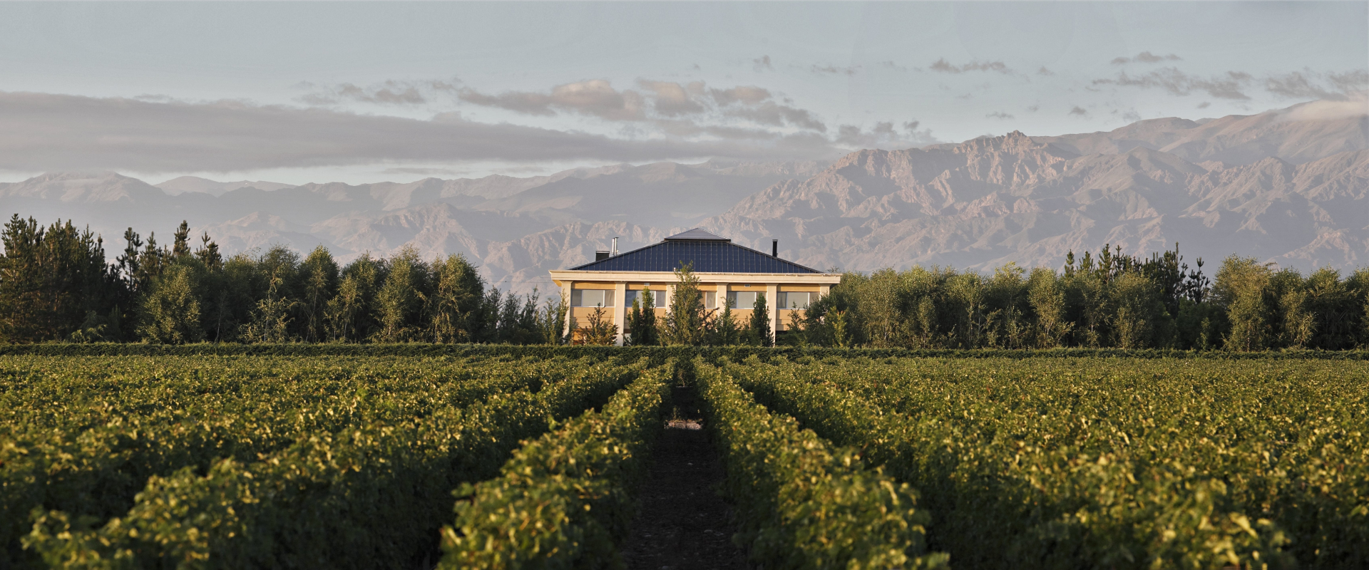 Where To Stay In Mendoza: Four New Wine-related Options For ...